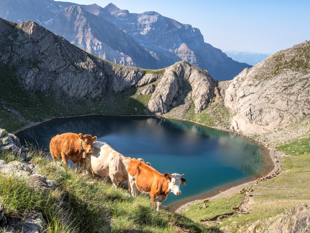 Spain’s 17 UNESCO World Heritage Sites That Belong on Every Bucket List