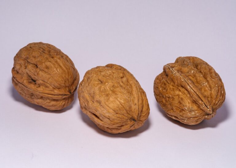 Over 60? The 4 WORST Nuts You Should NEVER Touch — and 4 You MUST Eat ...